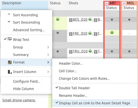 help formatting records and fields manually and with rules autodesk