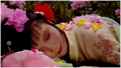 同样演“史湘云醉卧”，87版如诗如画，10版歪身撅腚仿若产后护理郭霄珍史湘云红楼梦新浪新闻