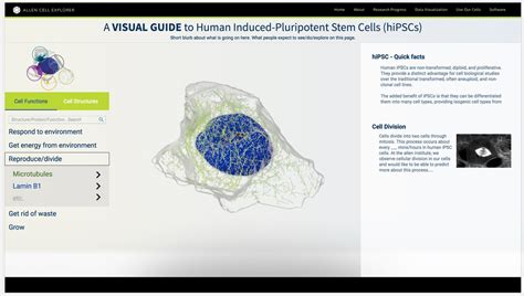 Visual Guide To Human Stem Cells MEGAN RIEL MEHAN