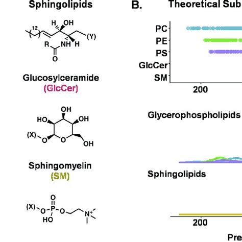 Overview Of The Two Lipid Classes And Five Subclasses Surveyed In This