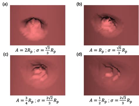 The Expansion Of Primary Thrombus Surface Of Single Platelet Is Merging