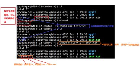 一文掌握linux权限