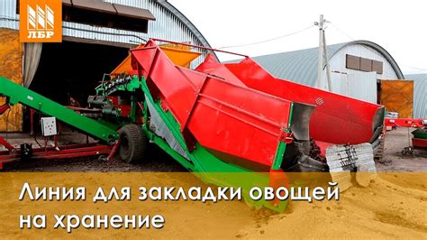 Обзор оборудования для сортировки и закладки овощей и картофеля на хранение Youtube