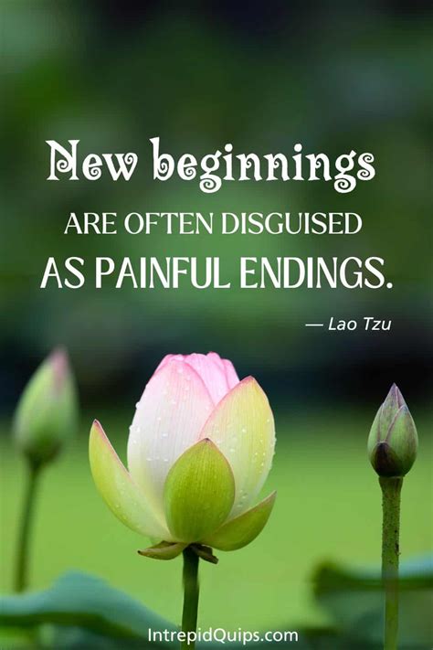 125 Uplifting New Beginnings In Life Captions And Quotes For Fresh