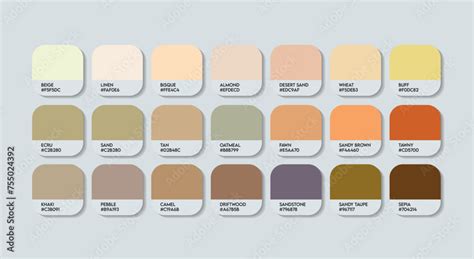 Sand Color Palette Cream Color Guide Palette With Color Names Paint Rgb Hex Codes And Names Sand Color Palette Cream Color Guide Palette With Color Names Paint Rgb Hex Codes And Names