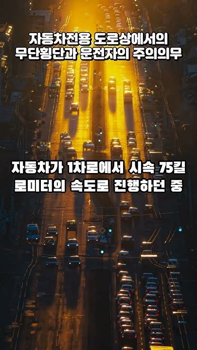 자동차전용 도로상에서의 무단횡단과 운전자의 주의의무 Youtube