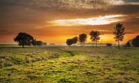 Exploring The Power Of Machine Learning In Web Development