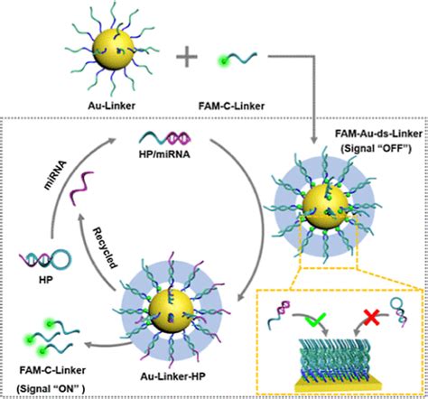 Analytical Chemistry Vol 96 No 18 Acs Publications