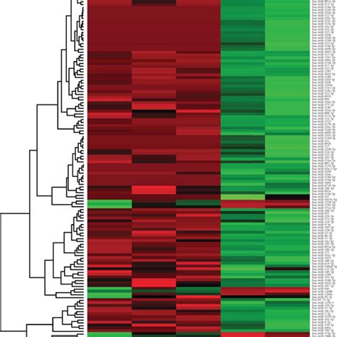 A Heatmap Of Mirna Expression Values Depicting Mirna Clustering Between Download Scientific