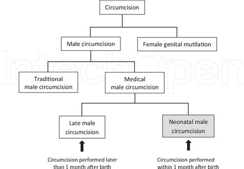 Types Of Circumcision Procedures At Hayley Matters Blog