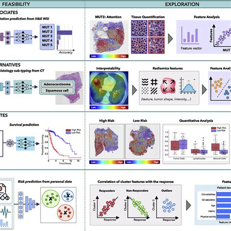 multimodal data fusion a early fusion builds a joint representation
