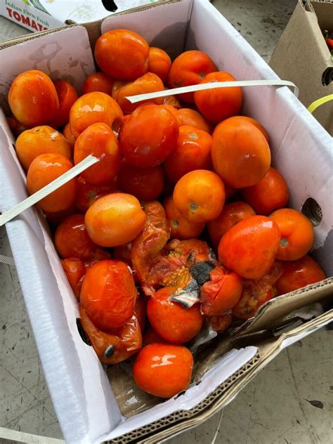 The Quality Of Your Fruits Speaks For Itself Protect Your Claim With