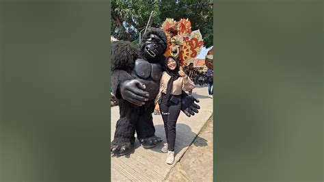 Kingkong Berpelukan Sama Cewek Cantik ️ Singa Depok Putra Pai Muda Youtube