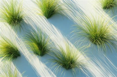 A Textured Light Background Featuring Vibrant Green Grass Patches