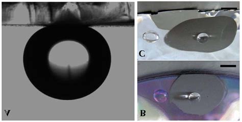 Shape Of A Water Droplet Drop Mass Of 10 Mg On The Surface Of Ag Download Scientific Diagram