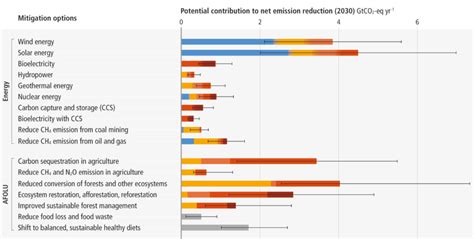 How Much Should A Reforestation Carbon Credit Cost Pachama