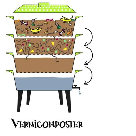 Vermicomposting How To Start Your Own Worm Bin Vermicomposting