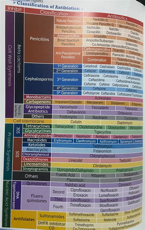 Classification Of Antibiotics Any Updates For Sepsis Patients Salma