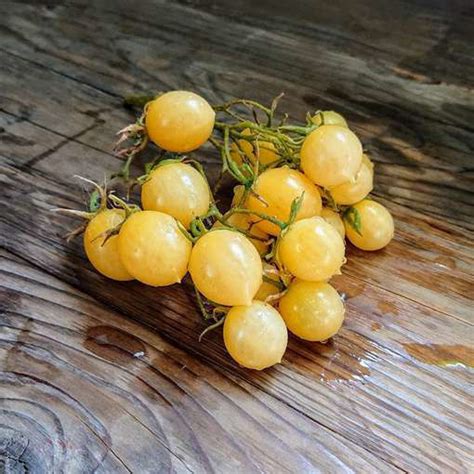 Barrys Crazy Cherry Tomato Meraki Seeds