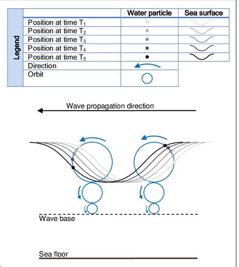 Wave Propagation Direction And The Orbital Movement Of Water Particles Download Scientific