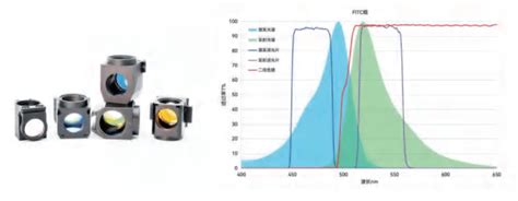 Fluorescence Microscope Filter