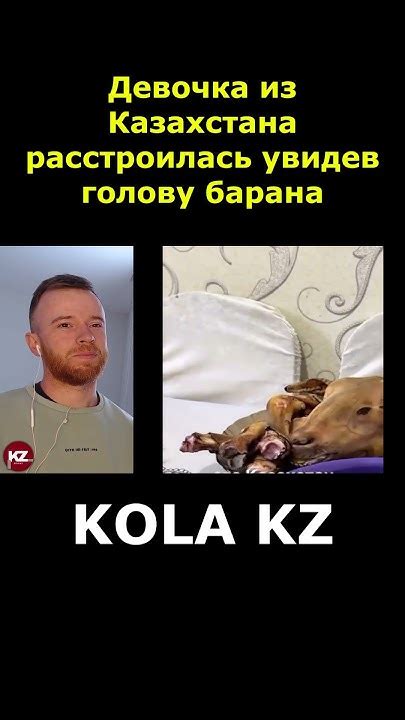 Девочка из Казахстана расстроилась увидев голову барана Kola Kz казахстан дуэт Shorts