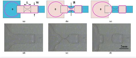 Figure 1 From Applications Of Electrowetting On Dielectric Ewod Technology For Droplet Digital