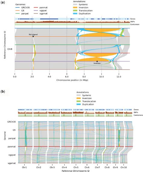 Customizing Visualization Using Plotsr The Individual Panels Were