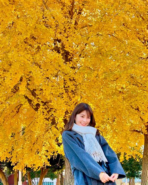 関根苑子アナウンサー ᴰᵉᶜᵉᵐᵇᵉʳ フリーアナウンサー 関根苑子 Limelightcom Instagram