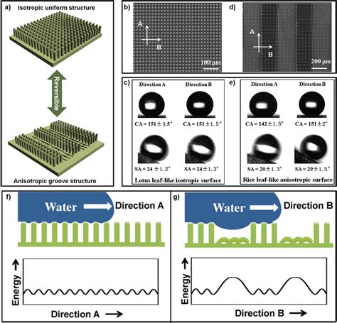 A Schematic Illustration Of The Surface Microstructure Variation Download Scientific Diagram