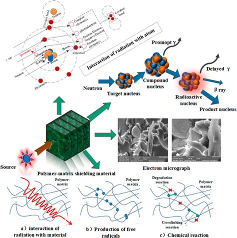 What Is Atomic Shielding At Ashley Cianciolo Blog