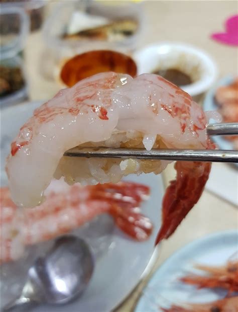 해수포장 횟감가능 포항 활 꽃새우