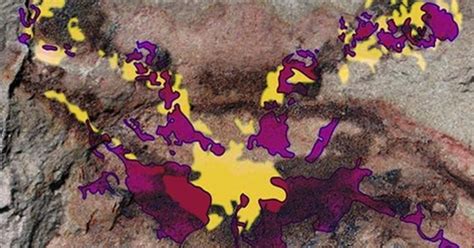 520 Million Year Old Brains Preserved In Fools Gold