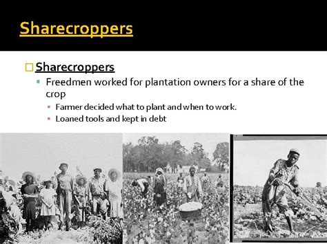 Reconstruction Ids Sharecroppers Black Codesjim Crow Laws Reconstruction
