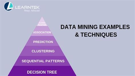 Data Mining Examples And Techniques