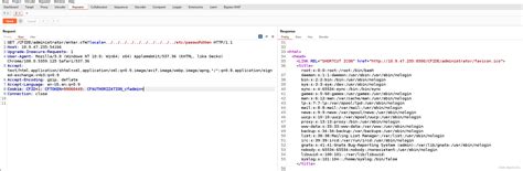 [文件读取]coldfusion 文件读取 （cve 2010 2861） coldfusion 文件读取 cve 2010 2861