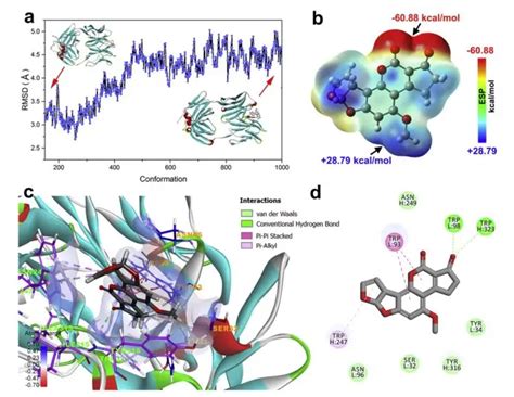聚马来酸酐二氧化硅修饰水溶性cdsezns荧光量子点硫化镉量子点修饰aie荧光探针探究 哔哩哔哩