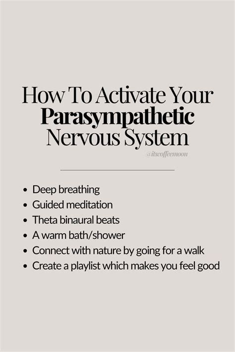 How To Activate Your Parasympathetic Nervous System Nervous System