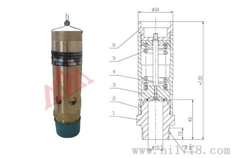 A28x空压机安全阀图片 高清图 细节图 上海五岳泵阀制造有限公司 维库仪器仪表网