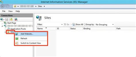 Windows Server IIS Set Domain Name Manually TemplateToaster Tutorials
