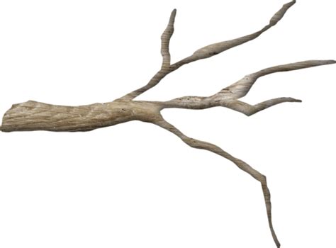 Сухие ветки png Views album Painting photos Paint shop