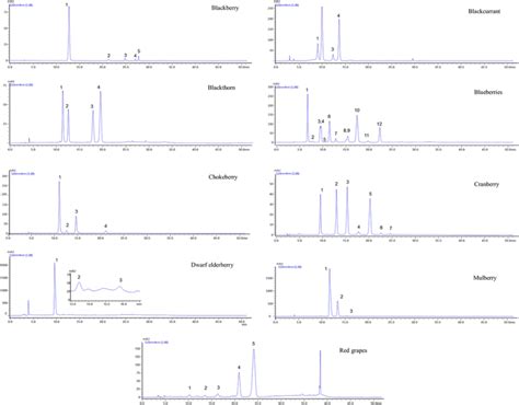 Separation Of Individual Anthocyanins From Nine Different Berries Hplc