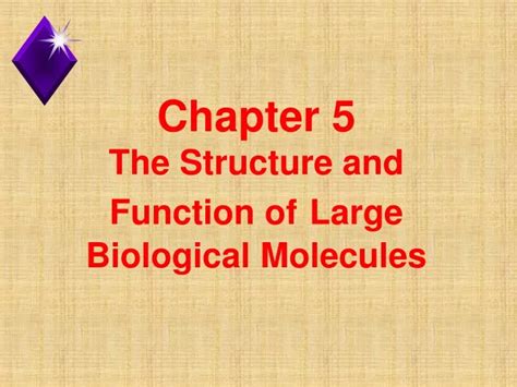 Ppt Chapter 5 The Structure And Function Of Large Biological