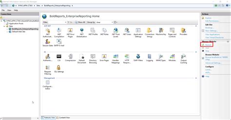 Ssl Configuration In Windows Iis Manager Bold Reports