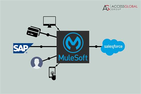 Salesforce Integration With Erp Application Systems Access Global Group Llc
