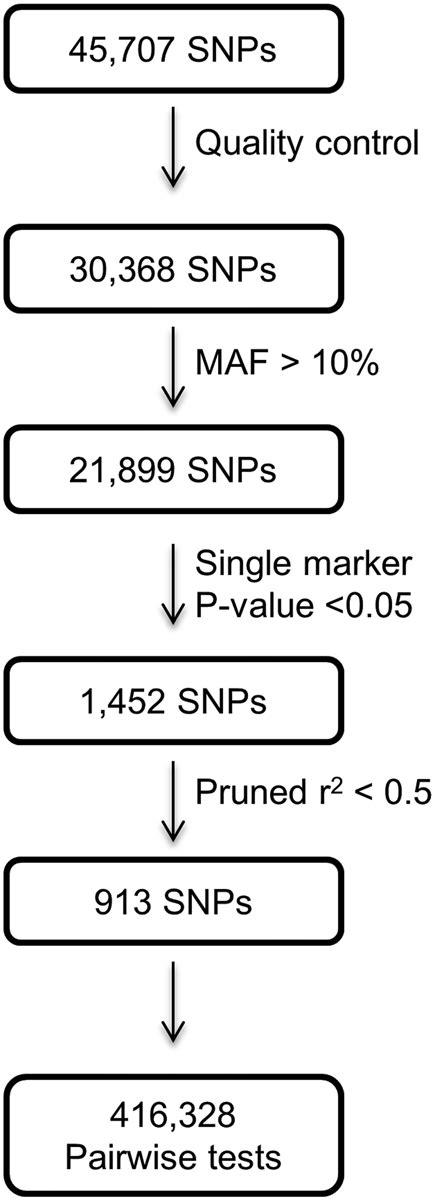 A Schematic Illustration Of Snp Selection Process For The Primary