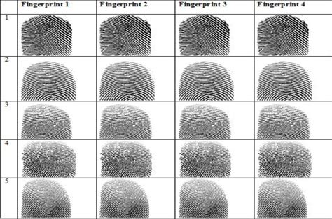 Figure 3 From Development Of An Improved Fingerprint Feature Extraction