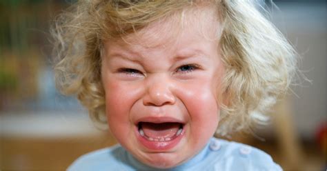 Los NiÑos Mimados No Sobrevivirán ¡la Culpa De La Generación Blandita Es De Los Padres