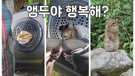 나비도 구경하고 다람쥐도 구경하러 왔어요 ️ Youtube