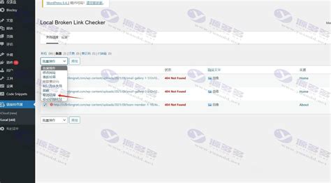 Wordpress去除文章失效图片broken Link Checker插件的使用和下载 源多多资源网
